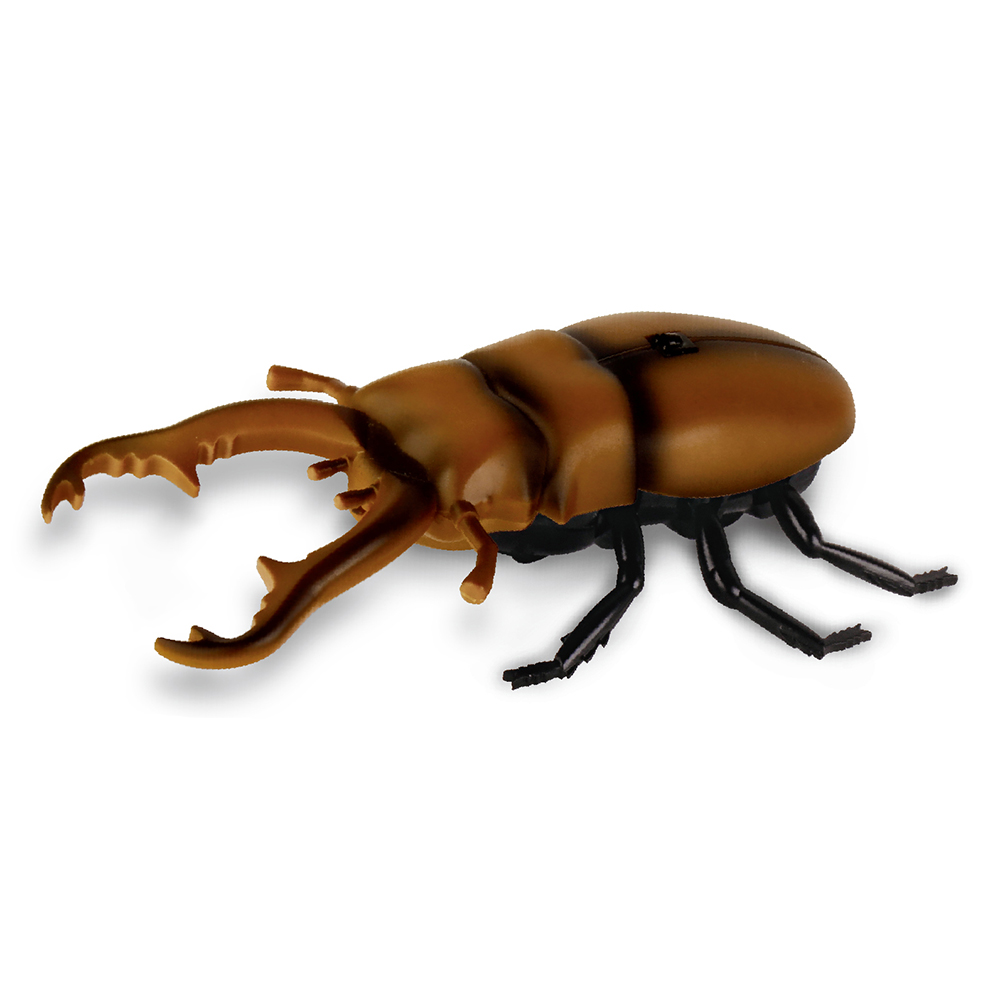 China Xinfei Toys Co., Ltd. is a professional customized Rc Beetle ...